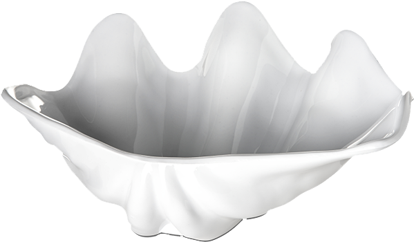 Download Carlisle Buffet Clam Shell - Giant Clam - Full Size PNG Image ...