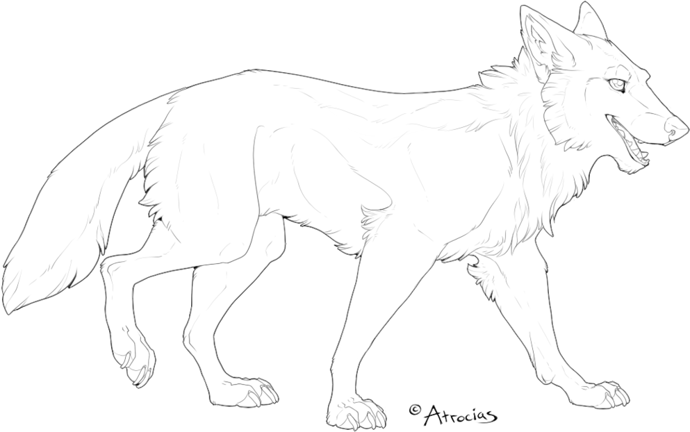 Download Wolf Line Drawing - Line Art - Full Size PNG Image - PNGkit