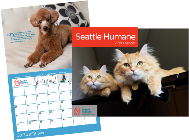 Download Each Month Of The Calendar Features An Adorable Seattle - Cat ...