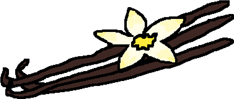 Download Vanilla Bean - Full Size PNG Image - PNGkit