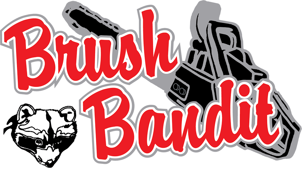 Download Brush Bandit - Full Size PNG Image - PNGkit
