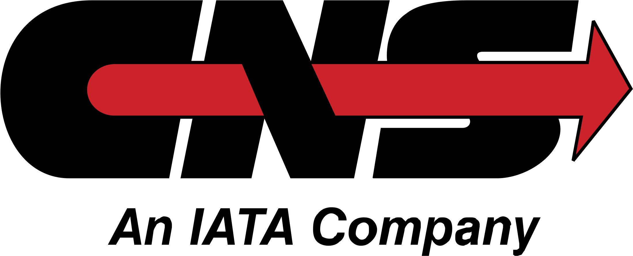 Download Cns Logo Png Transparent - Cns - Full Size PNG Image - PNGkit