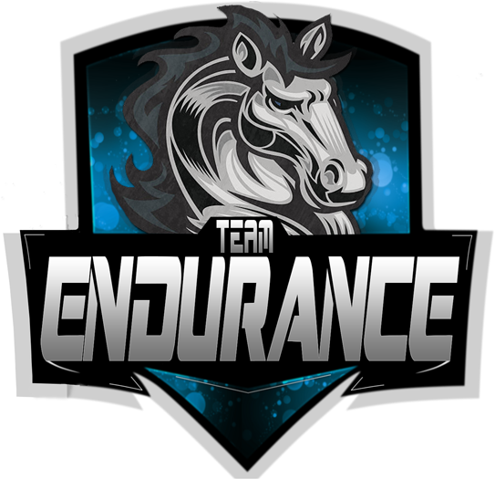 Download Team Endurancelogo Square - Stallion - Full Size PNG Image ...