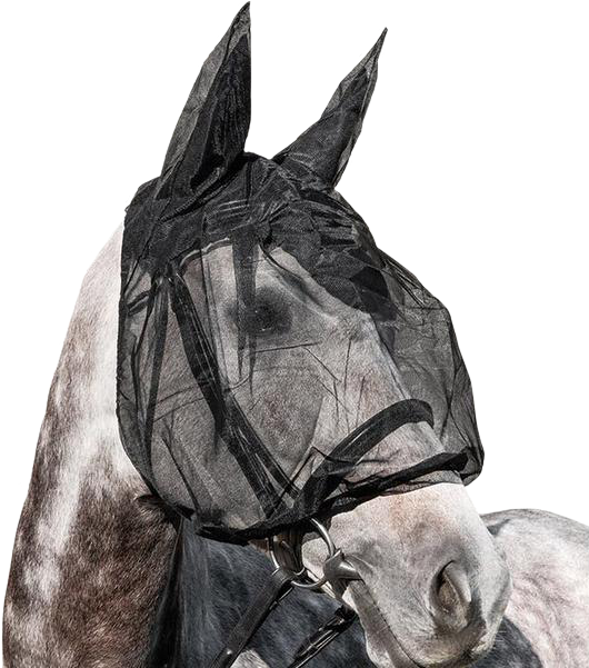Download Horse Fly Mask By Equiline - Equiline Fly Mask - Full Size PNG ...