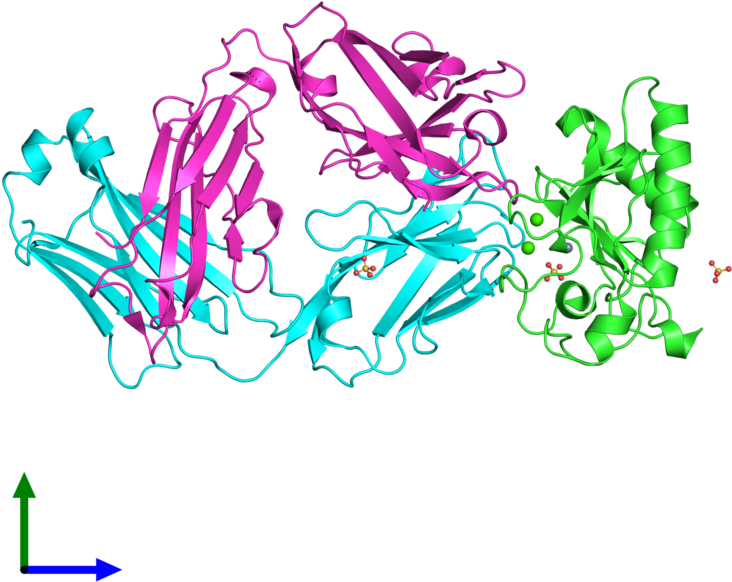 Download Ribbon Structure Of 3mxw - Protein - Full Size PNG Image - PNGkit