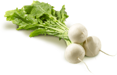 Download Turnip Small - Turnip - Full Size PNG Image - PNGkit