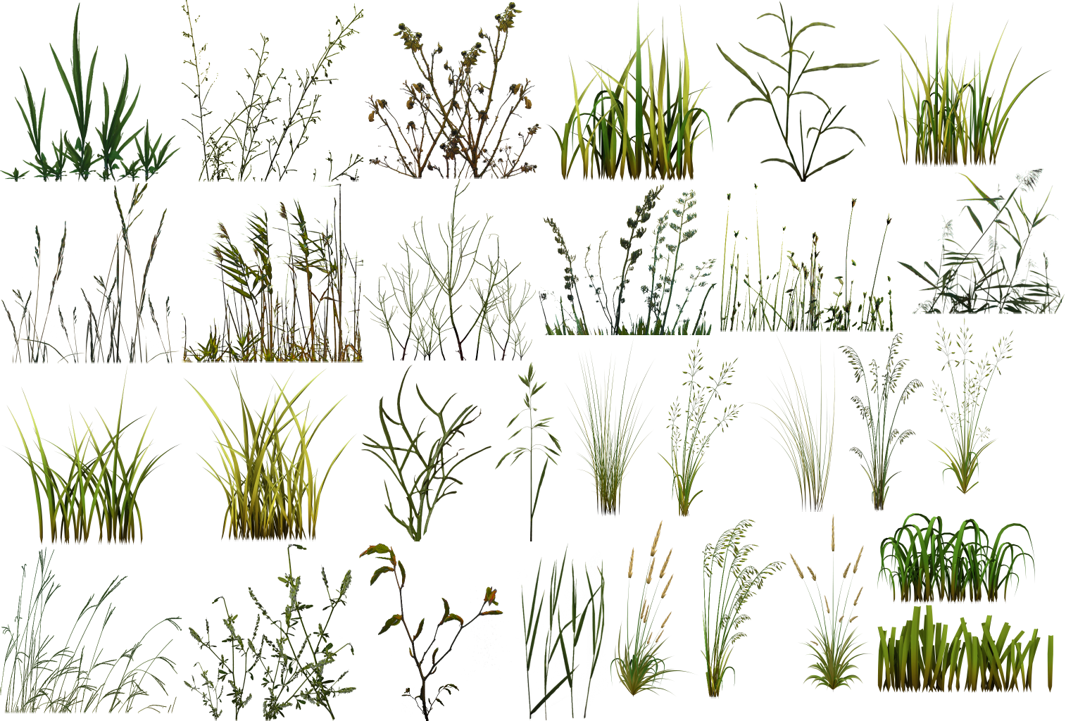 Download Grass - Crop - Full Size PNG Image - PNGkit