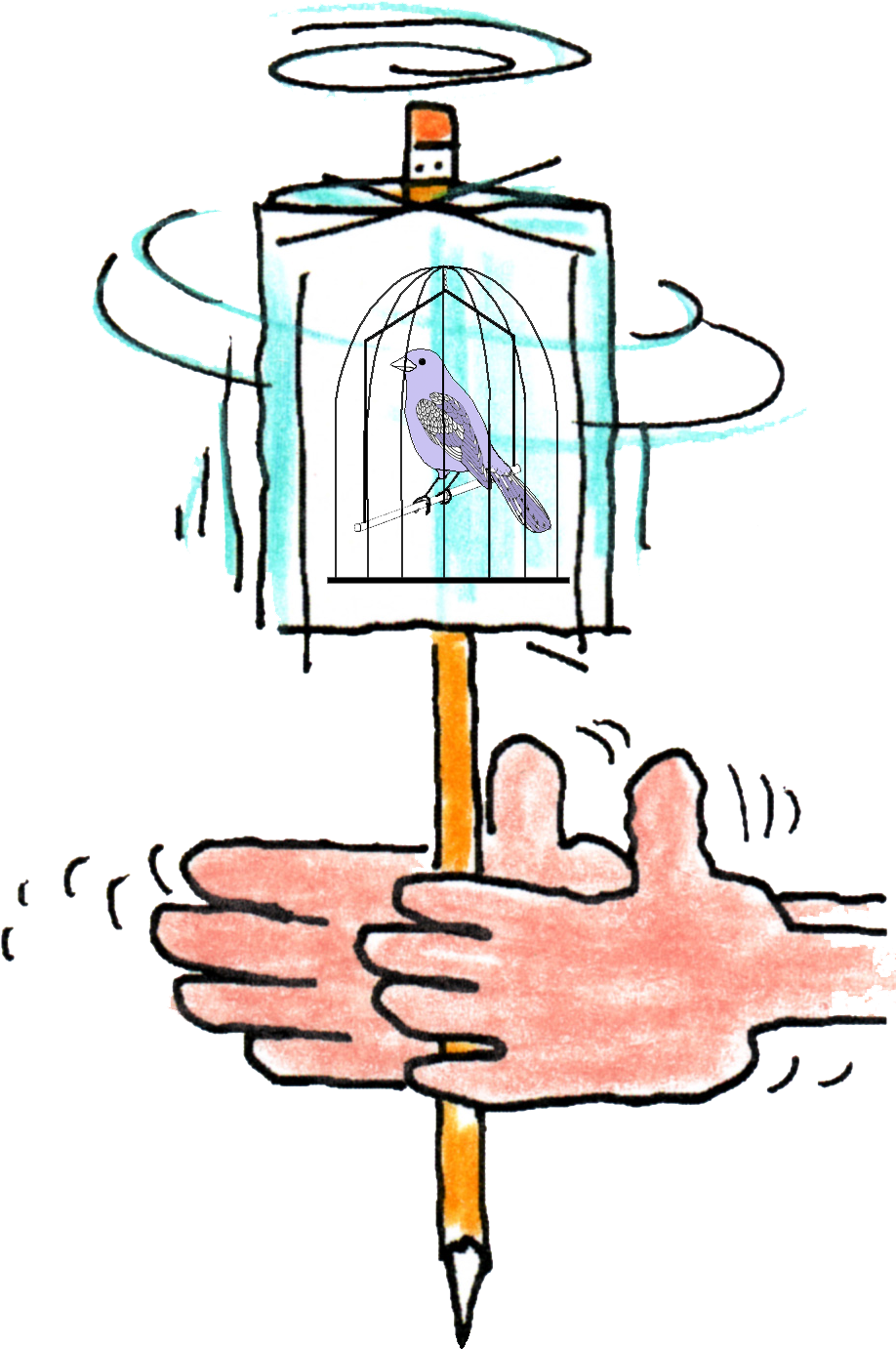 Download Spinning Illusions - Spinning Bird Illusion - Full Size PNG ...