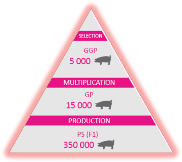 Download Transparent Nucleus - Sign - PNGkit