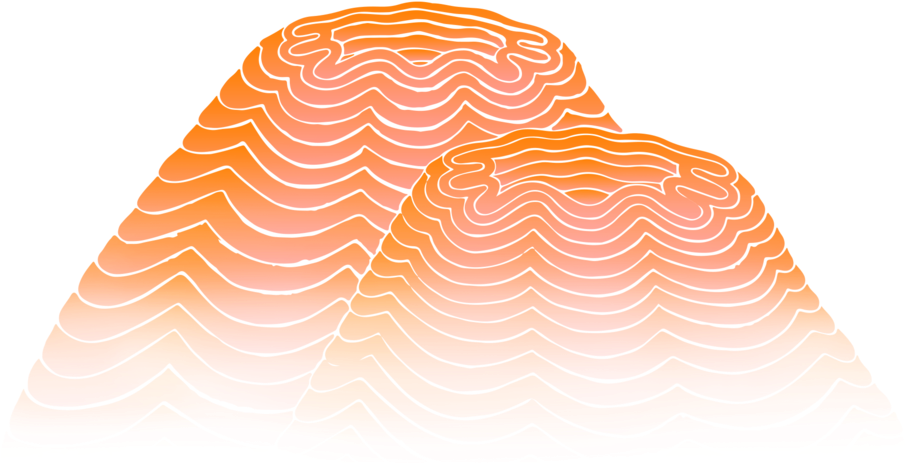 Download Magic-mountain - Spider Web - Full Size PNG Image - PNGkit