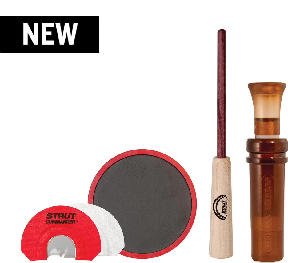 Download Sunrise Kit - Full Size PNG Image - PNGkit