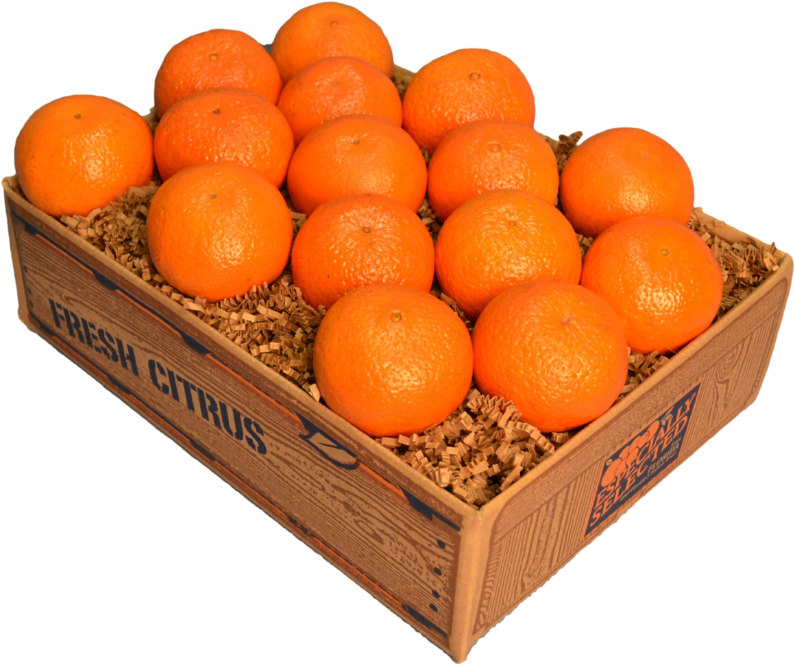 Download Temple Oranges - Tangerine - Full Size PNG Image - PNGkit