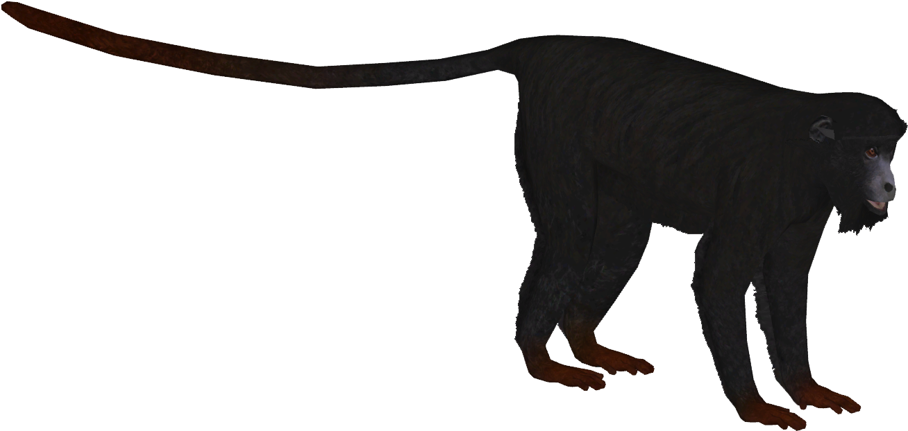 Download Red-handed Howler Monkey - Howler Monkey Zoo Tycoon Png - Full ...