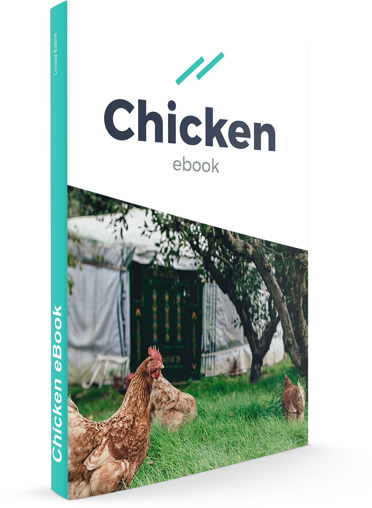 Download Act2 Chicken Ebook - Ruffed Grouse - Full Size PNG Image - PNGkit