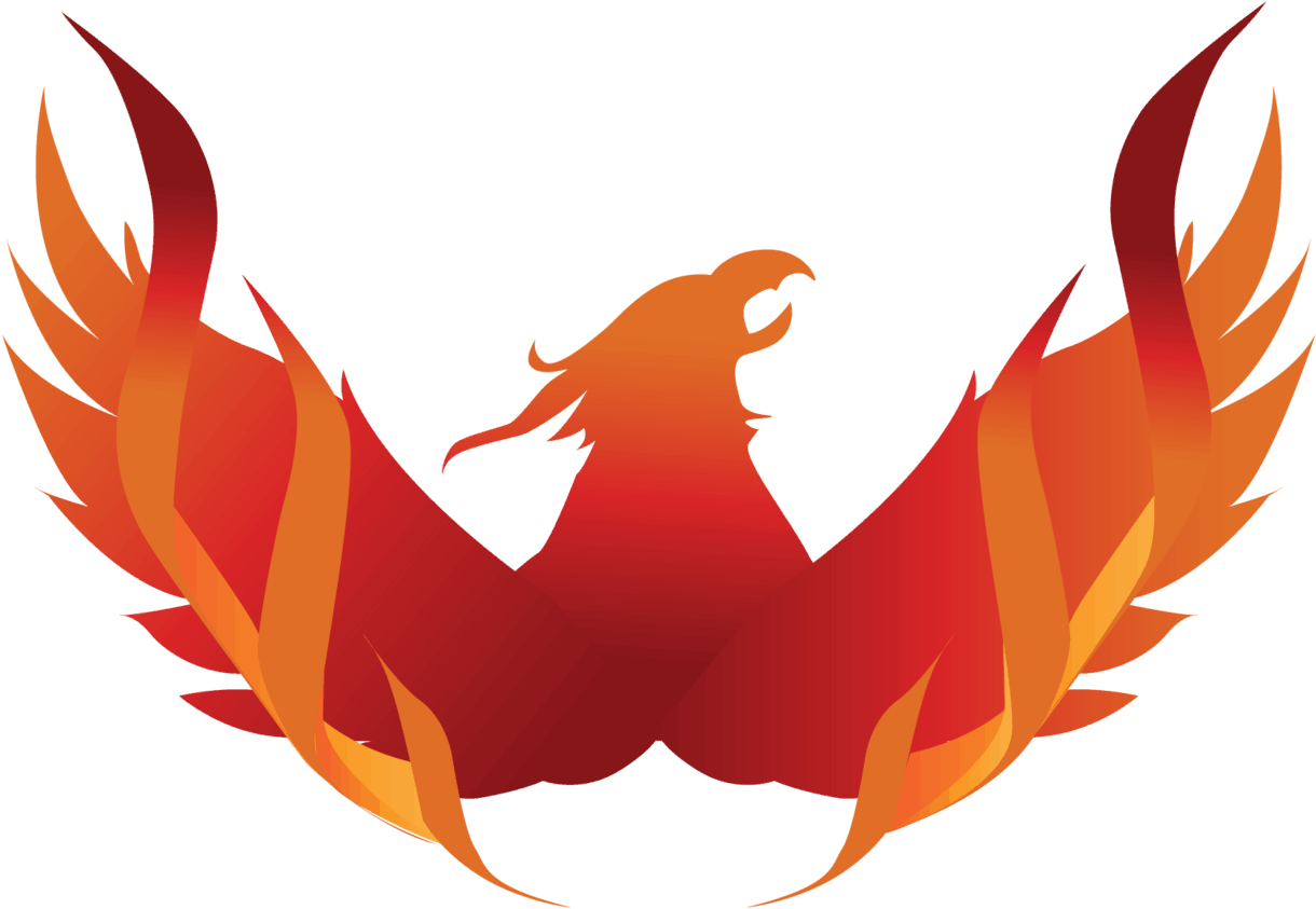 Download Free 12 Week Program - Eagle - Full Size PNG Image - PNGkit