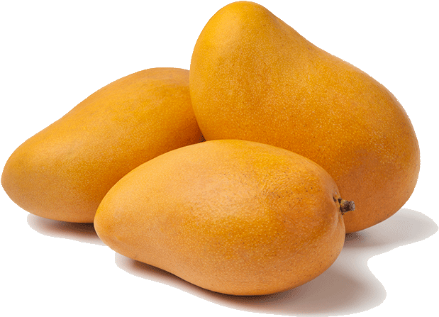 Download Ngoe Mango - Ataulfo - Full Size PNG Image - PNGkit