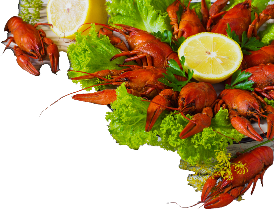 Download Seafood Png - Full Size PNG Image - PNGkit