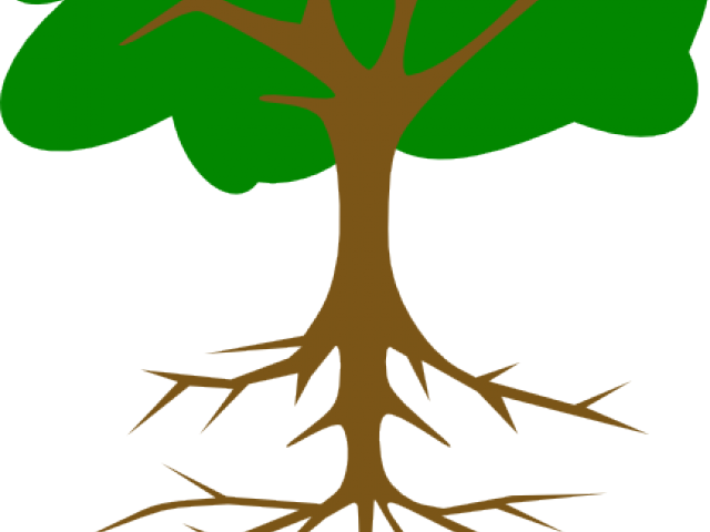 Download Roots Clipart Plant Root - Tree Clip Art - Full Size PNG Image ...