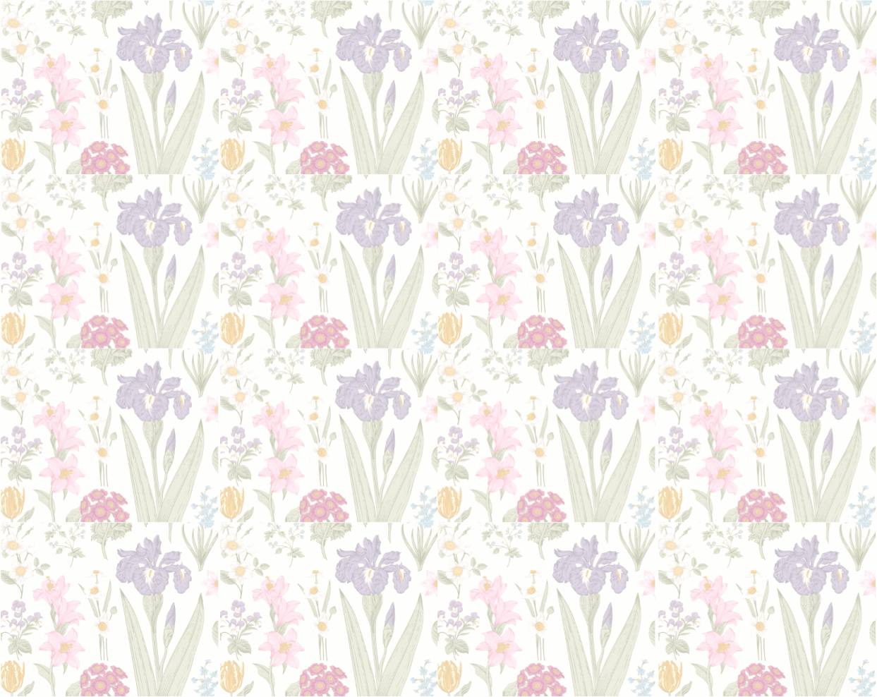 Download Background - Wallpaper - Full Size PNG Image - PNGkit