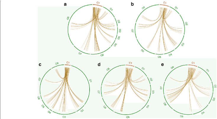Download Example Of Five Syntenic Regions With A - Circle - Full Size ...