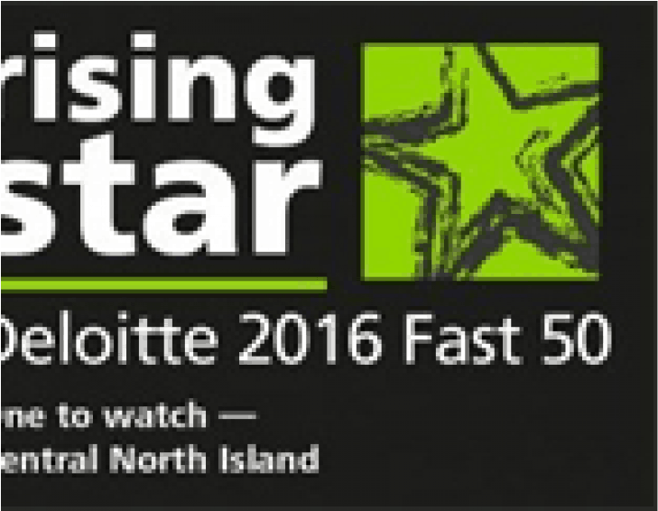 Download Deloitte 2016 - Full Size PNG Image - PNGkit