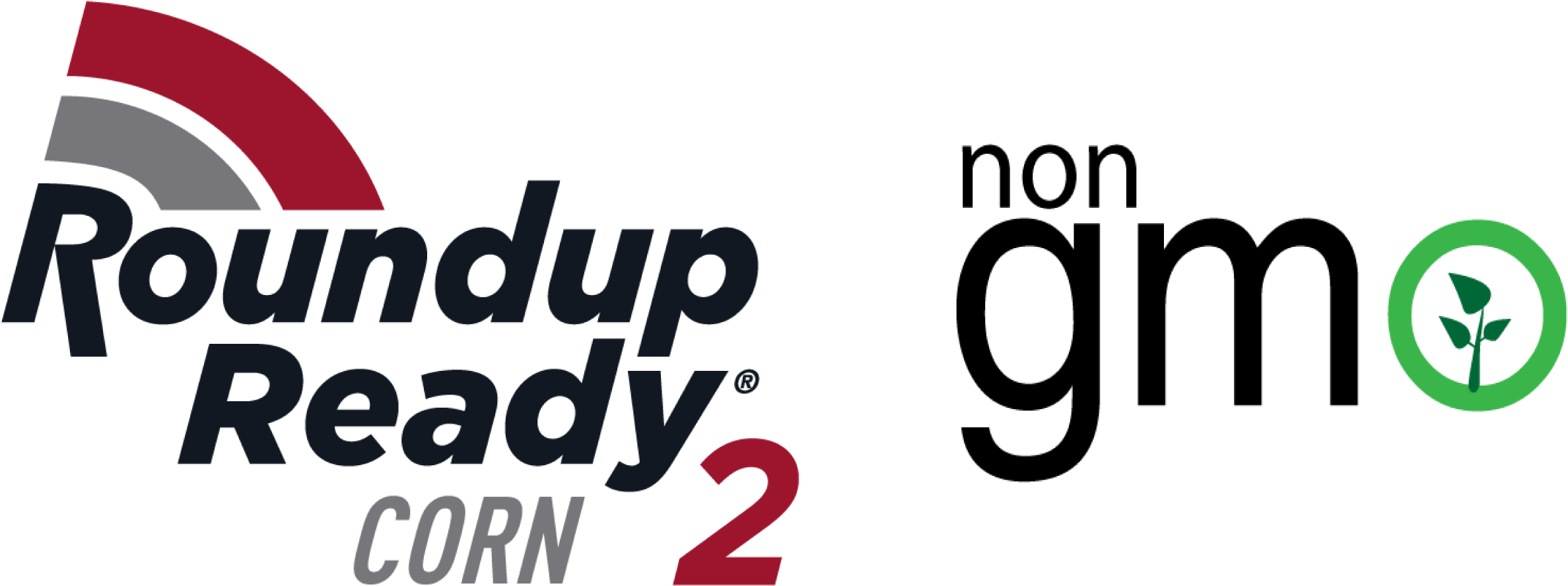 Download 2414 Rr Corn 2 Non Gmo - Graphic Design - Full Size PNG Image ...
