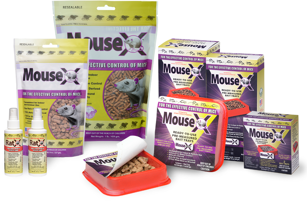 Download Mousex ® For The Safe & Effective Control Of Mice - Mouse X ...