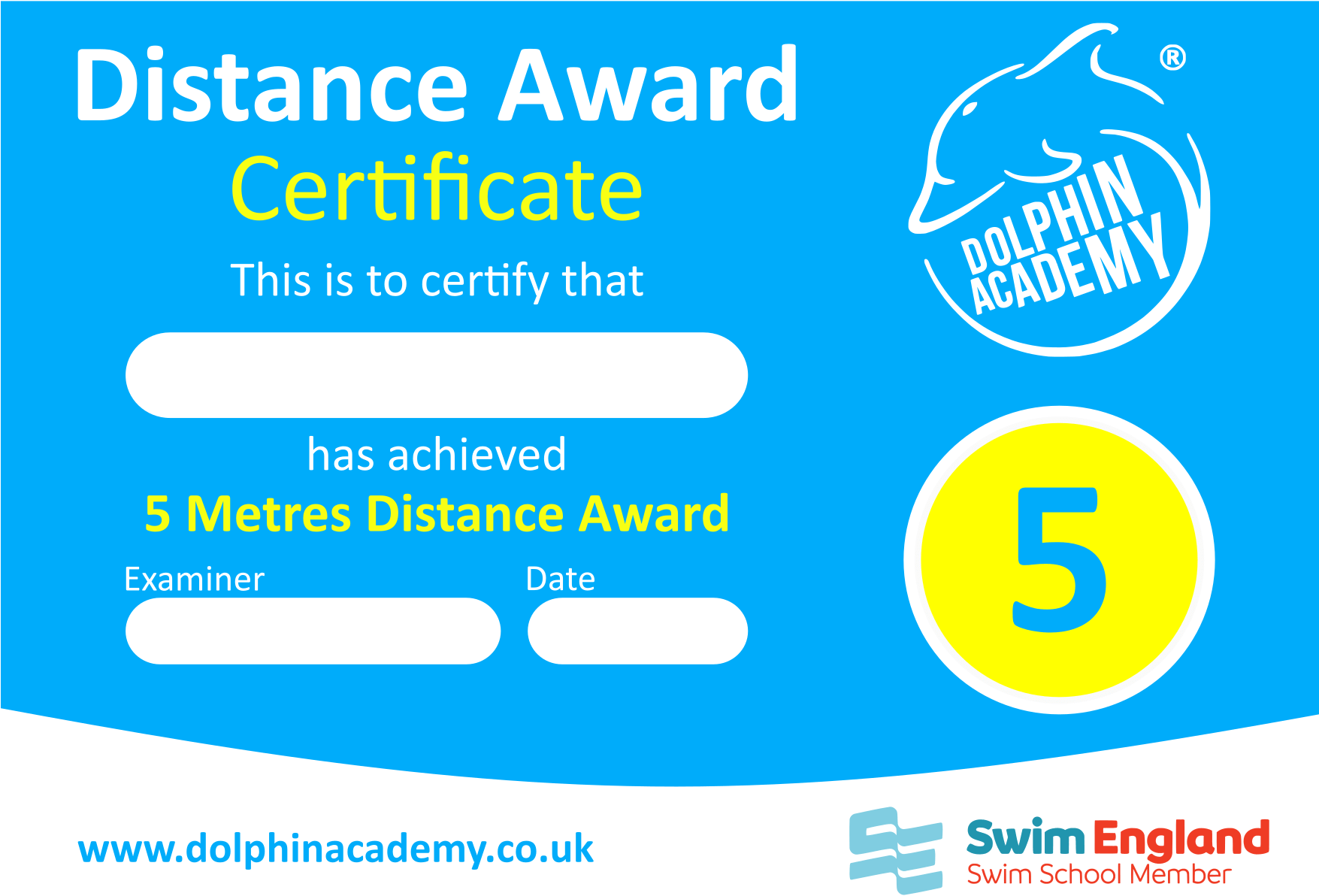 Download Dolphin Academy 5 Metre Distance Award Certificate - Noosa ...