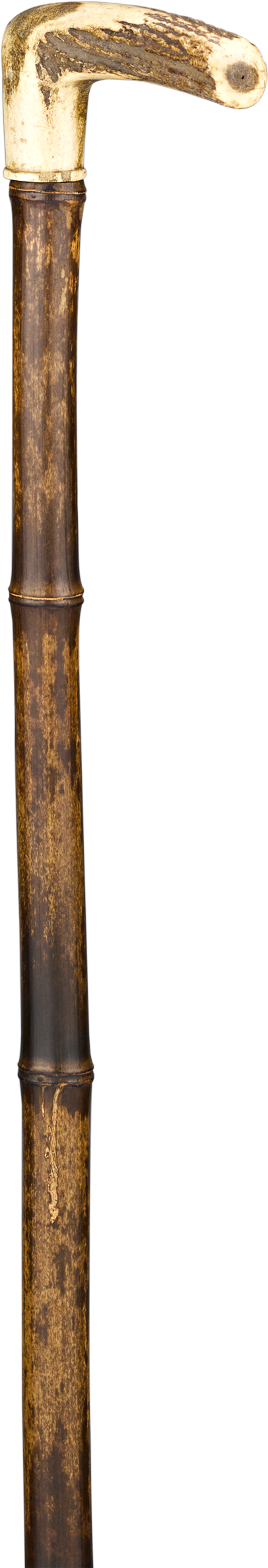Download Walking Stick Png - Full Size PNG Image - PNGkit