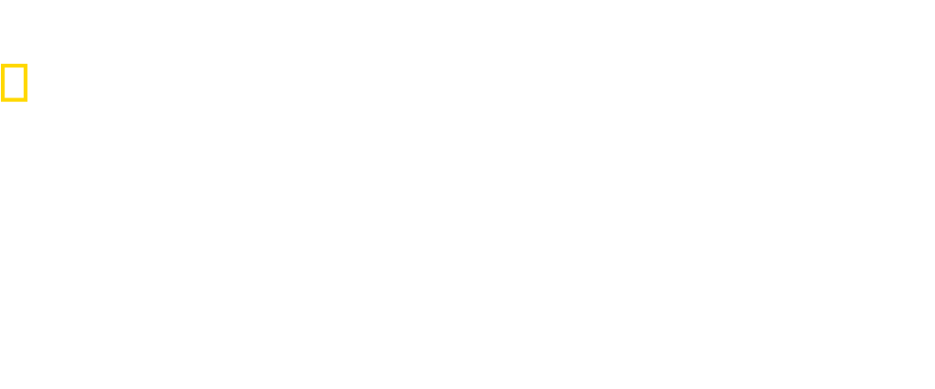 Download Ngl Alltogether Logo - Plusperception - Full Size PNG Image ...