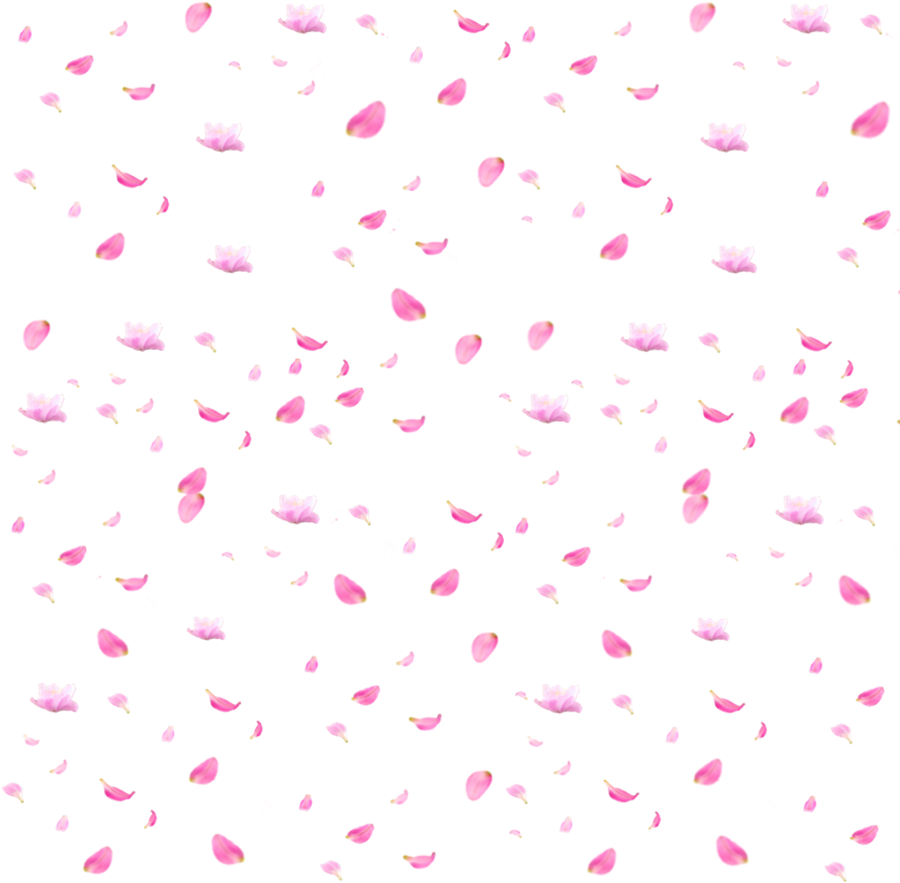 Download Petals Sticker - Pattern - Full Size PNG Image - PNGkit