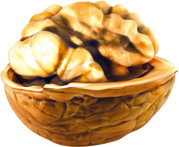 Download Walnut - Ceviz Vektör Png - Full Size PNG Image - PNGkit