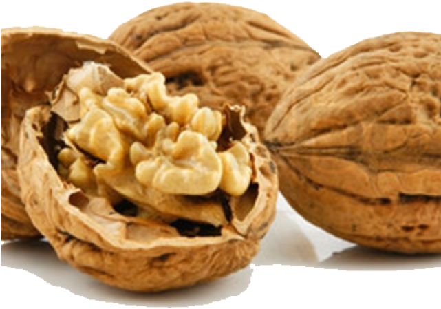 Download Walnut - Full Size PNG Image - PNGkit