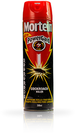 Download Mortein Kill Crawling Insect Killer - Mortein Powergard ...