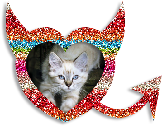 Download Multi-color Glitter Heart Frame Right Click And “save - Kitten ...