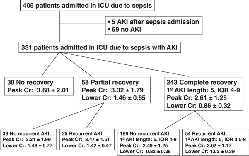 Download Critical Care Flow Chart Awesome Flow Chart Of The - Number ...