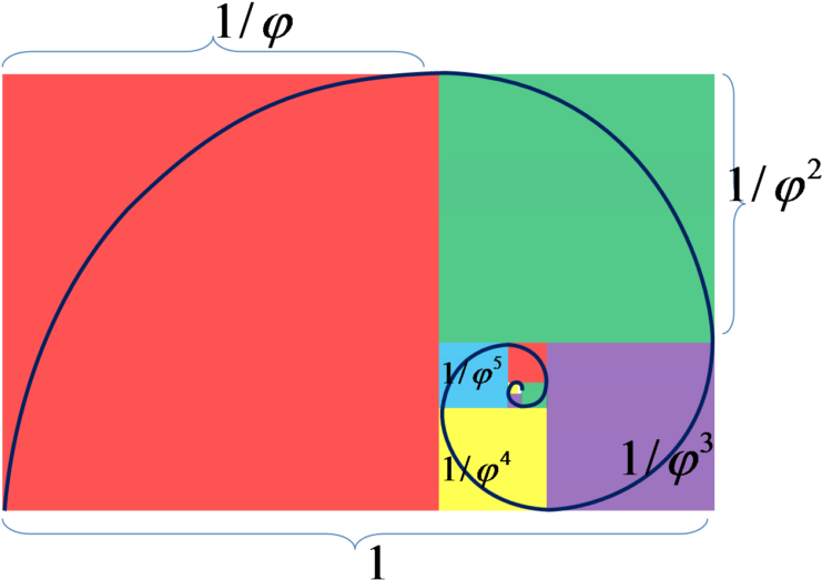 Download Transparent Minimalism, Fibonacci Sequence, Golden Ratio ...