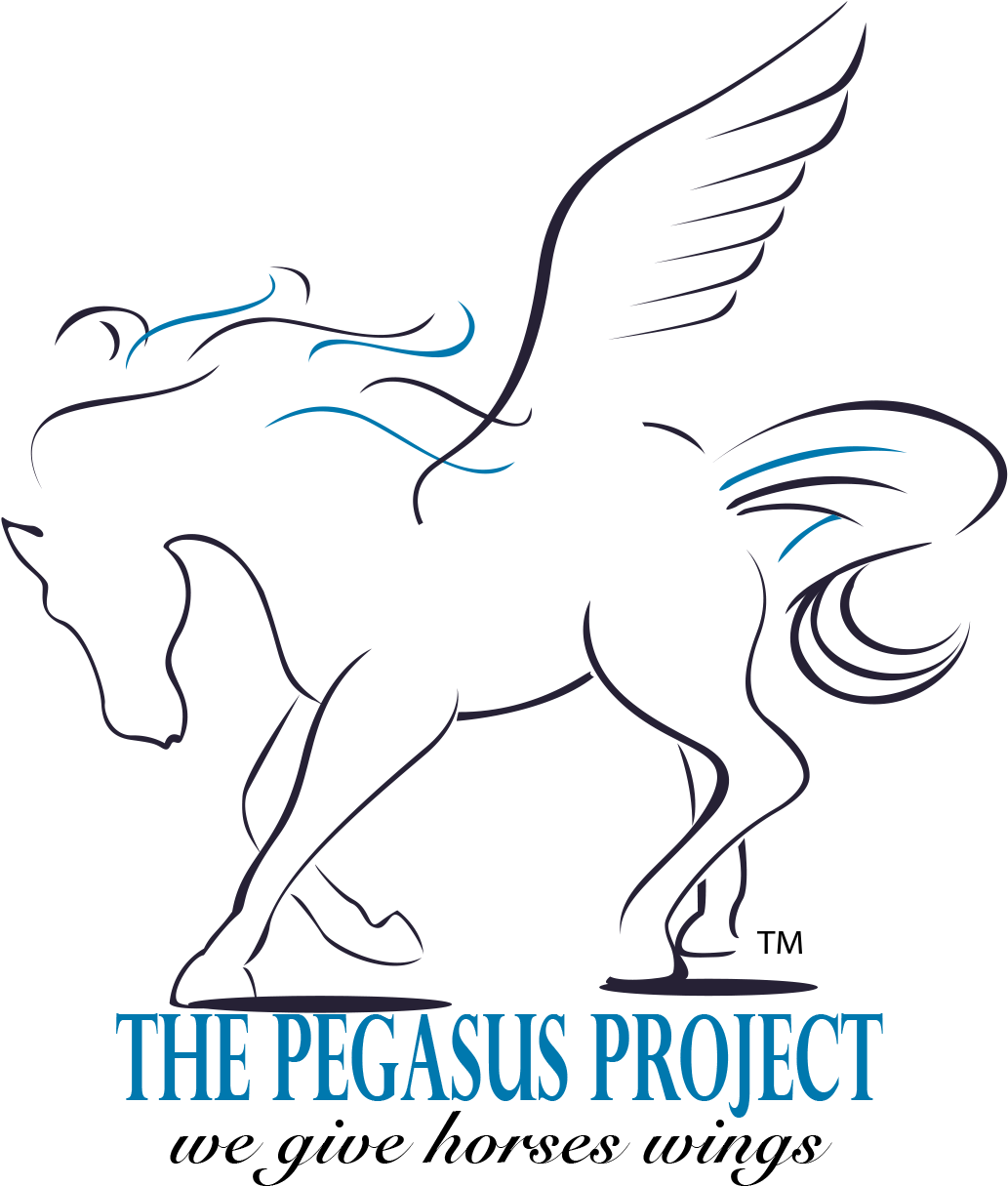 Download The Pegasus Project Tm - Boutique - Full Size PNG Image - PNGkit