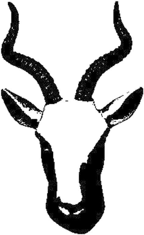 Download Picture - Springbok - Full Size PNG Image - PNGkit