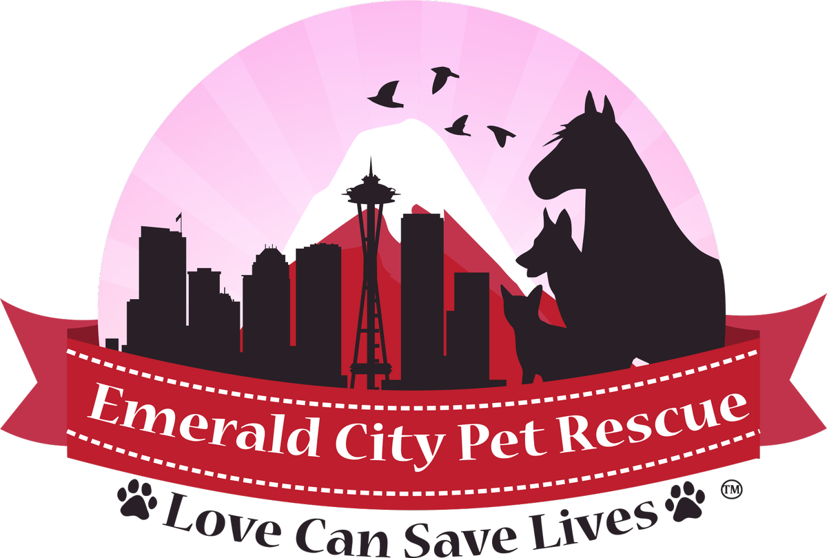 Download Friends Of Wpze On Twitter - Illustration - Full Size PNG ...