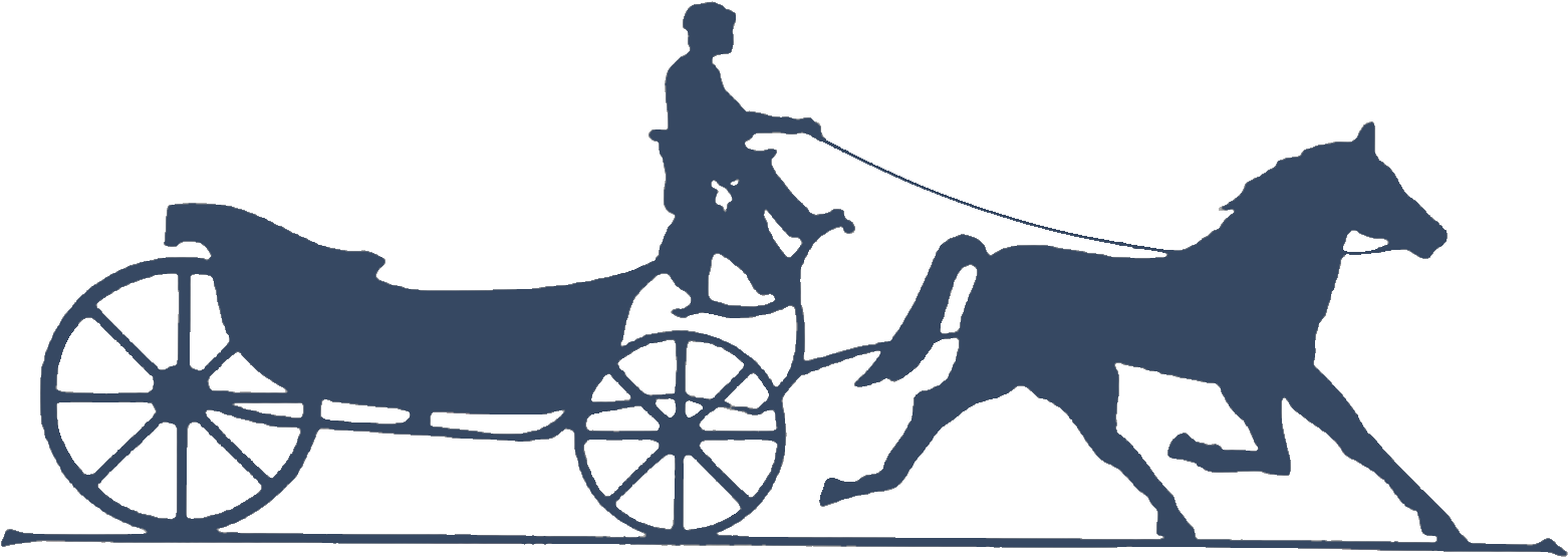 Download Stallion - Full Size PNG Image - PNGkit