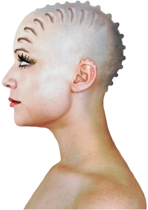 Download Bald Sticker - Mannequin - Full Size PNG Image - PNGkit