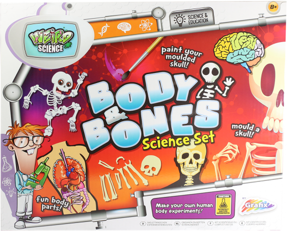 Download Body And Bones Science Set - Science Body And Bones - Full ...
