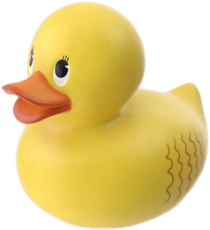 Download Transparent Objects - Duck - PNGkit