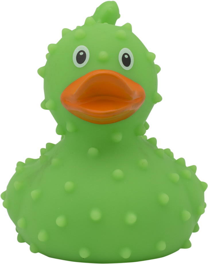 Download Cactus Rubber Duck By Lilalu - Rubber Duck - Full Size PNG ...