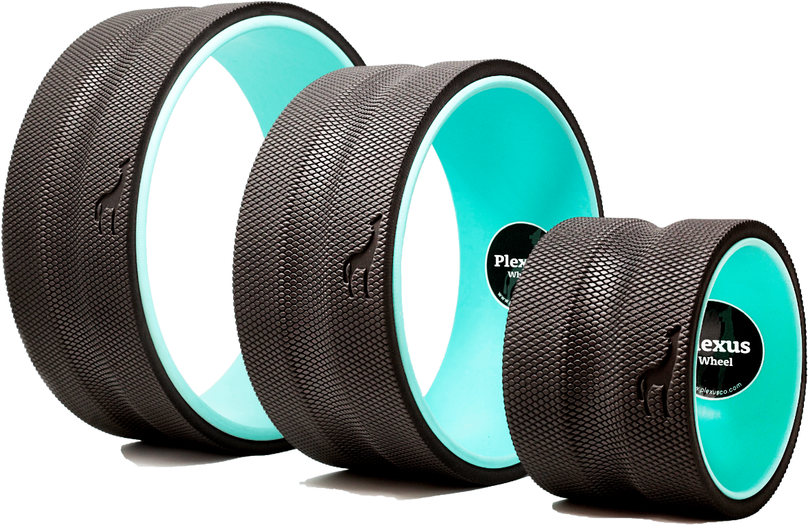 Download Thankfully, The Plexus Wheel Offers The Everyday 'back ...