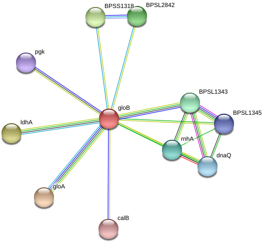 Download Glob Protein - Circle - Full Size PNG Image - PNGkit