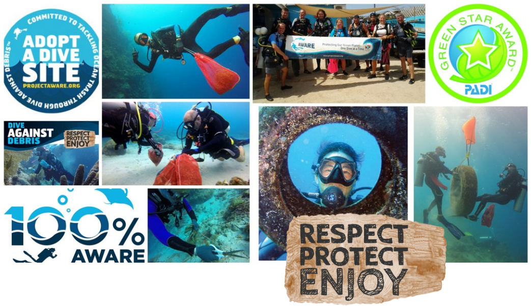 Download Join In The Dive Bus Monthly Project Aware Adopt A - Project ...