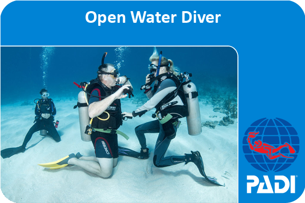 Download Open Water Diving Certification - Padi - Full Size PNG Image ...