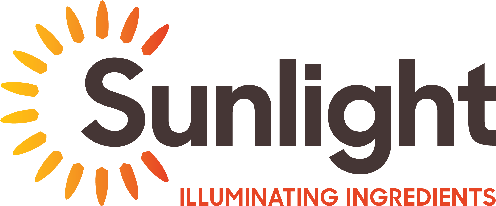 Download The Sunlight Program Includes Ongoing Educational Content ...